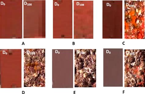 Figure 5 From Green Synthesis Of Tio2 Nanoparticles Using Natural Marine Extracts For