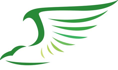 Hawk 36662939 Vector Art At Vecteezy