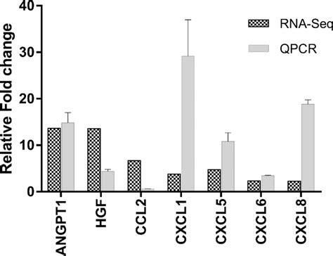 Expression Of Pro Angiogenic Cytokines During Osteogenesis The