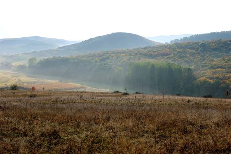 картинки пейзаж лес пустыня гора туман поле прерия утро холм озеро долина Осень