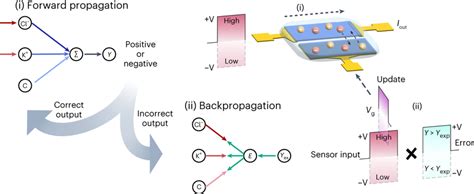 Hardware Neural Network Principle Schematic Showing Forward I And Download Scientific Diagram