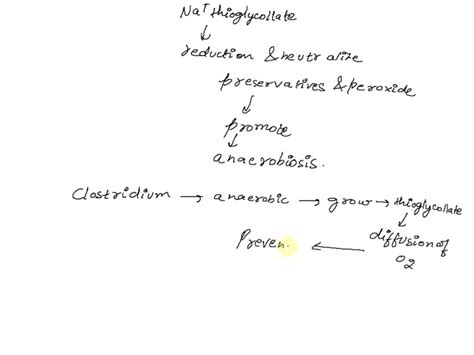 Solved Describe What Makes Thioglycollate Medium Suitable For Culturing Anaerobes What Would