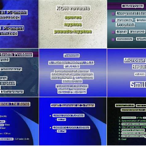 The Salient Object Extraction Results For Human Faces Download