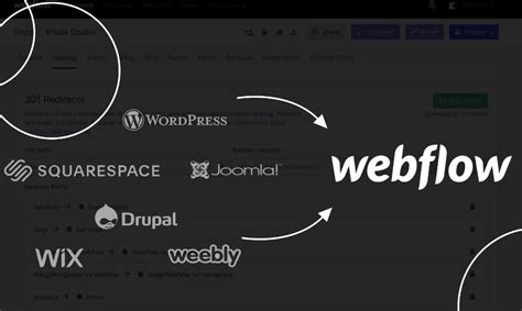 Professional Webflow Development Agency Twelve Interactive