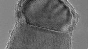 First Electron Microscope Image Of Dna Double Helix