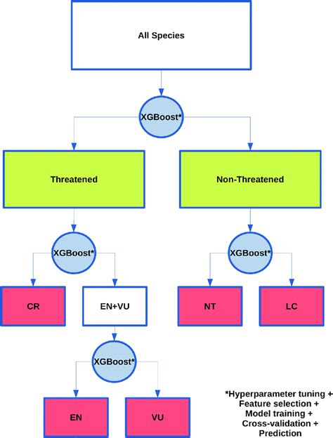 Flowchart For Classification Tasks In Automated Extinction Risk