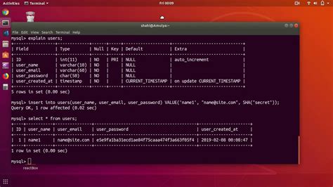 Mysql Tutorial Create Database Table And Insert Values Youtube