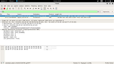 Python 27 Raw Sockets Missing And Wrong Fields In Arp Header Stack