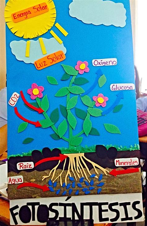 Pin En Plants