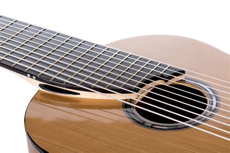 10 String Luthiers Classical Guitar No 106 • Turkowiak Guitars