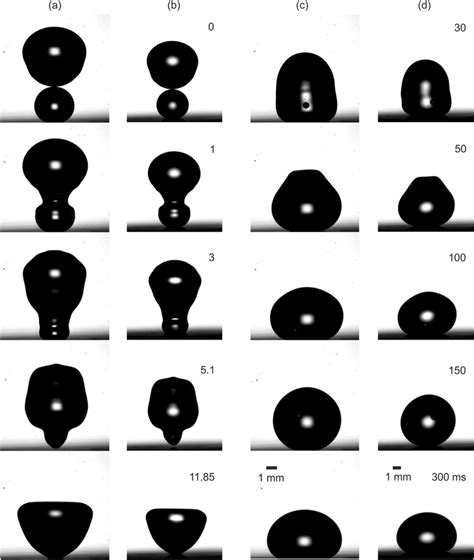 Image Sequence Of The Coalescence Process Recorded In Two Views For Download Scientific Diagram