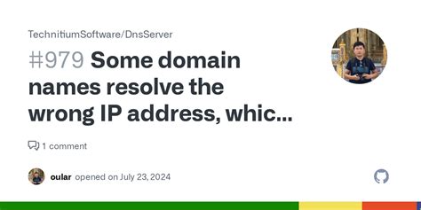 Some Domain Names Resolve The Wrong IP Address Which Is Correct If You Use Public DNS Issue