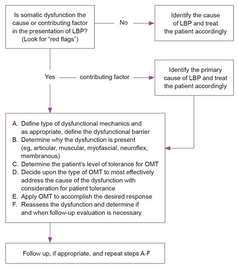 Osteopathic Manipulative Treatment Definition At Roger Marino Blog