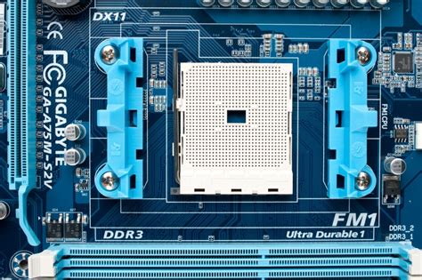 AMD Desktop Socket Options