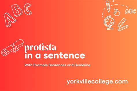 How To Use Protista In A Sentence Easy Examples