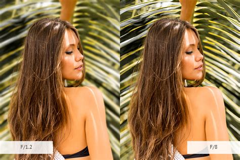 Aperture Priority Mode Easy Guide For Beginners