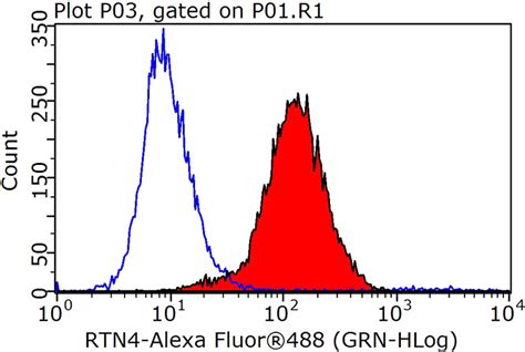 Rtn4 Nogo Rabbit Polyclonal Antibody