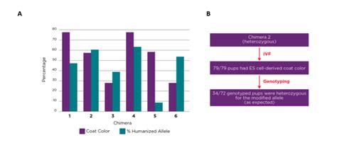 More Efficient Mouse Model Generation Through Informed Founder Selection Drug Discovery World