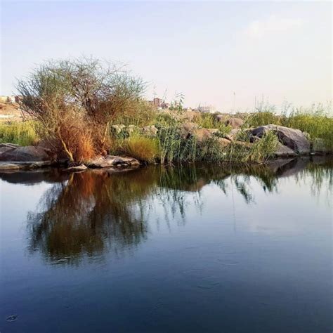 محمية طابا أجمل المناطق لمحبى المغامرات والاستكشافات فيزيت جايد