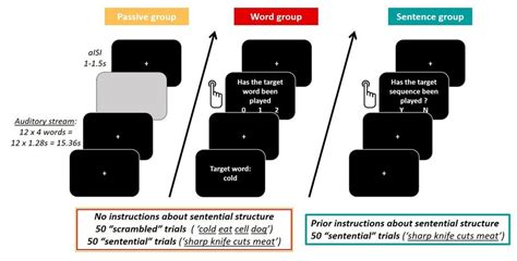 Experimental Paradigm Participants Were Divided Into 3 Groups Of 24