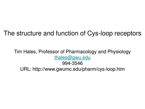 Ppt The Structure And Function Of Cys Loop Receptors Powerpoint Presentation Id4016292
