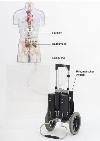 Patients And Relatives Excor Adult Patients And Relatives Excor Adult