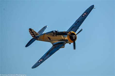 Curtis Hawk Photograph By Tommy Anderson Fine Art America