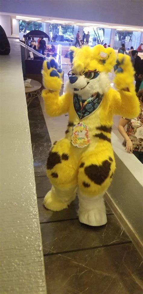 Dogpatch Press On Twitter No Twitter To Tag For This Cutie