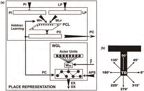 A The Place Representation Module Of The Spatial Cognition Model