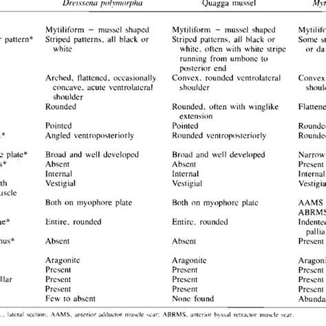 Summary Of Shell Features Download Table