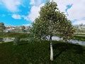 WFAS Visual Mod For Mount Blade With Fire Sword ModDB