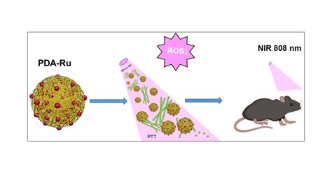 Polydopamineruthenium Nanoparticle Systems As Photothermal Therapy