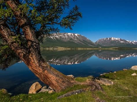 Баян Өлгий Баян Өлгий Аймгийн Улаан Загалмайн Хороо