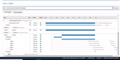 subsegment not emited after first lambda invocation · issue 240 · aws