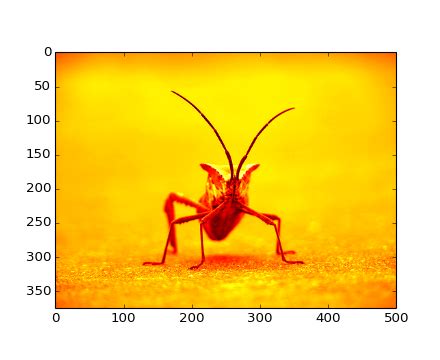 Image Tutorial Matplotlib Documentation