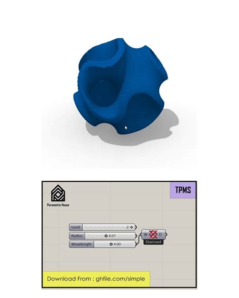 Tpms Rrhinograsshopper