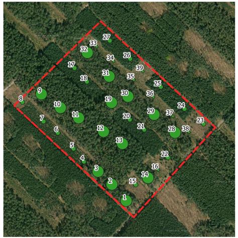 Layout And Relative Size Indicators Of Variable Radius Sample Plots At