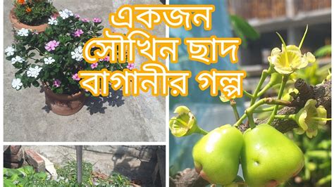 আমার মায়ের শখের ছাদ বাগান 💝 My Mothers Hobby Gardening 🫶 Youtube