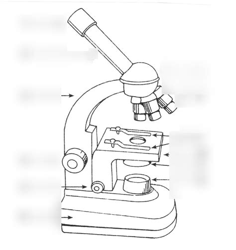 Mid Term Science Microscope Diagram Quizlet