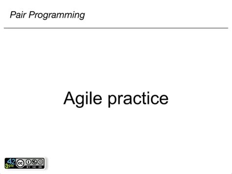 Pair Programming And Pair Training Ppt