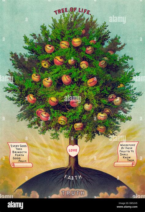 What Was The Tree Of Life Fruit At Sebastian Montefiore Blog