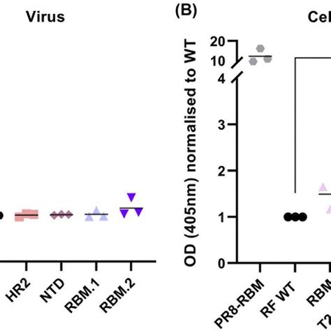 The Rotavirus Replication Cycle [from Crawford Se Et Al Rotavirus Download Scientific