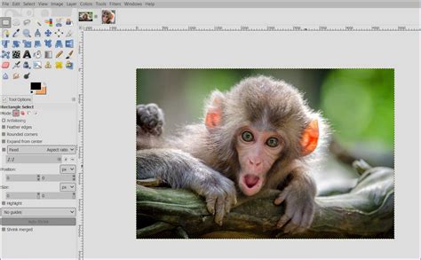 How To Crop An Image Into Circle In GIMP
