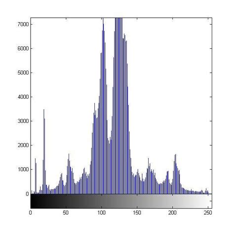 histogram of the image corrupted with impulsive noise of density 0 1 download scientific diagram