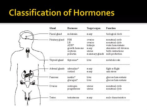 Classification Of Hormones Pptx