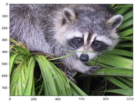 import scipy misc 后找不到 imsave的解决方案 w cschool笔记