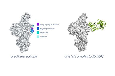 Eculizumab Epitope On Complement C5 Progress Towards A Better