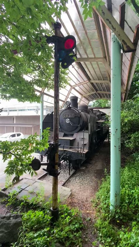 KDX on Twitter SLにお別れ ω ﾉﾞ 高岡古城公園内に展示されているC11形のSL p ωq 小さい頃から