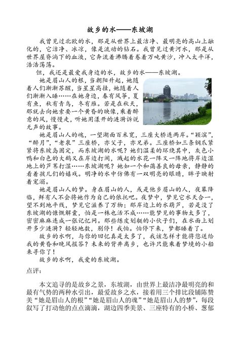 2023年初中作文写作指导追寻 附文题详解及范文精评 21世纪教育网