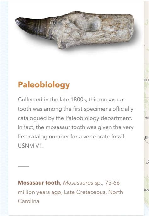 Solved Story Map Map Tour Text Formatting Esri Community